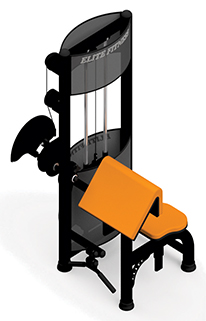 Leal Fitness Scott Maquina Gold Ficha Técnica - Leal Fitness